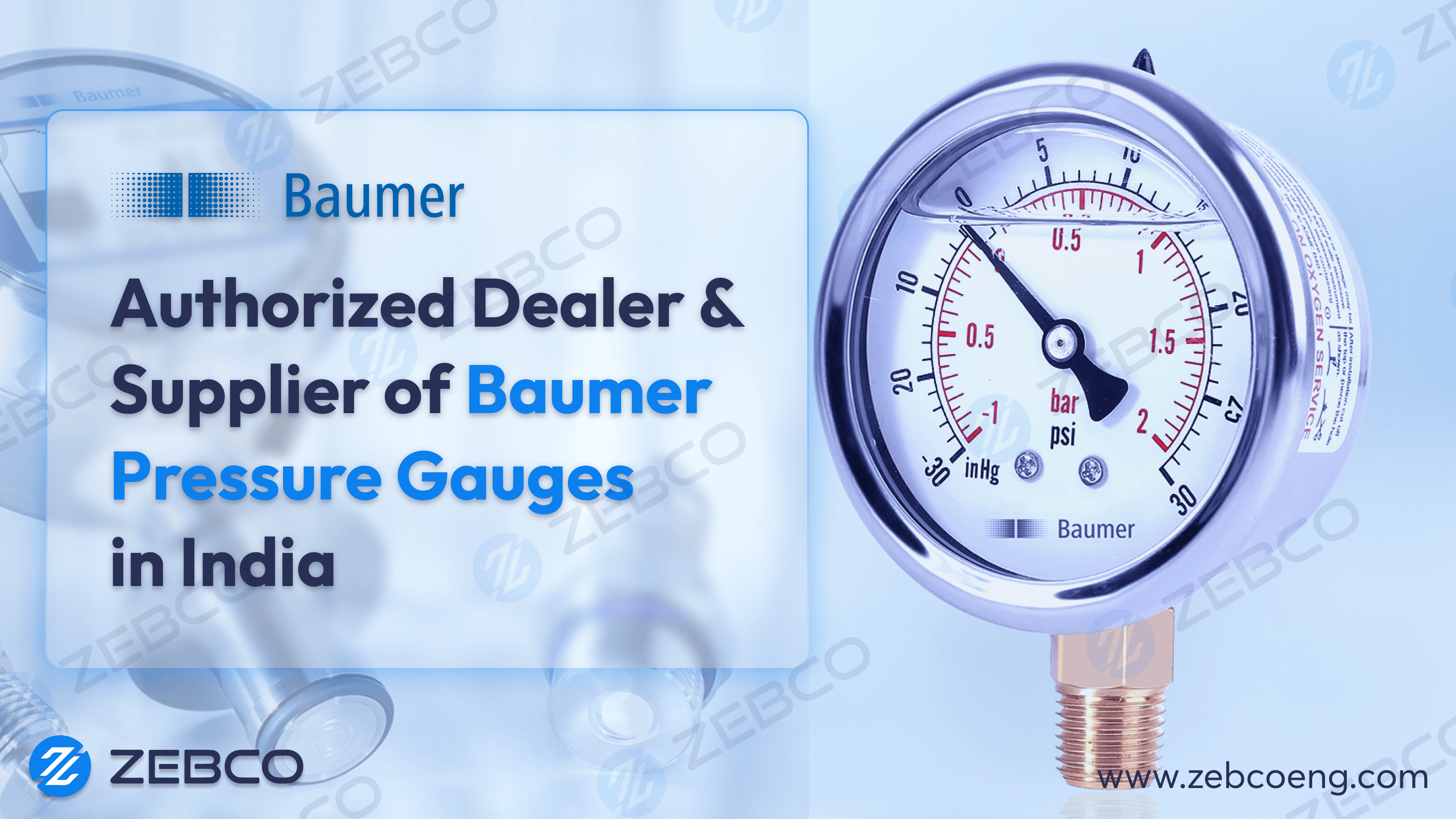 Baumer AL Pressure Gauge | Industrial SS Pressure Gauge with ATEX